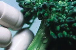 BioResponse DIM® Ingredients - BioResponse